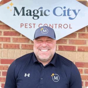 Wasps in Alabama: Common Types and Safe Removal Tips